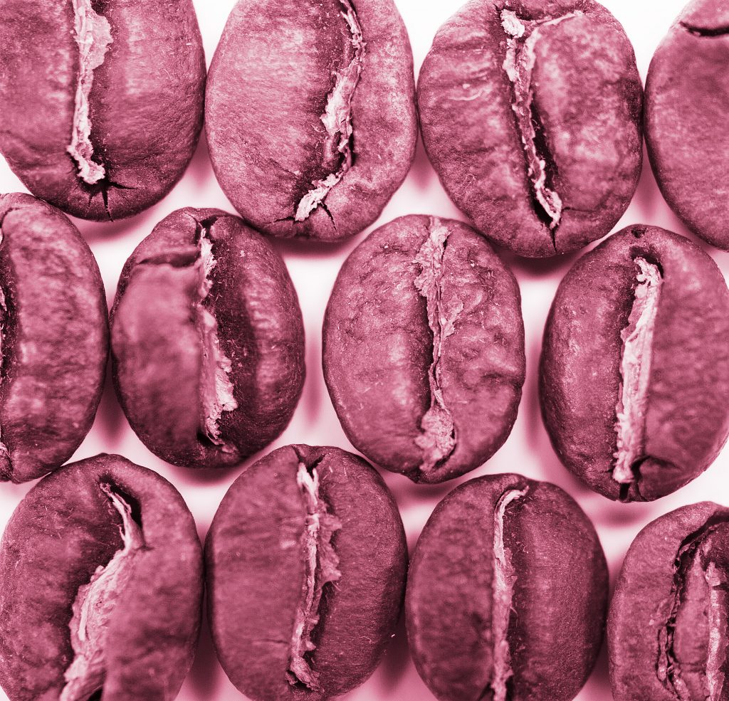 When is a bean not a bean? • Eclectic Coffee Roasters